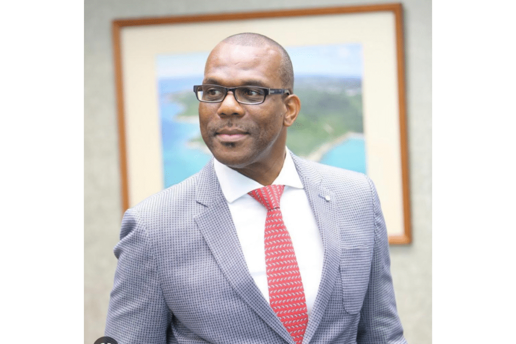 Grenada: Thomas Anthony appointed Chief Executive Officer (CEO) of ...